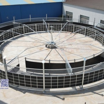 About Horse Walker Everything You Need To Know