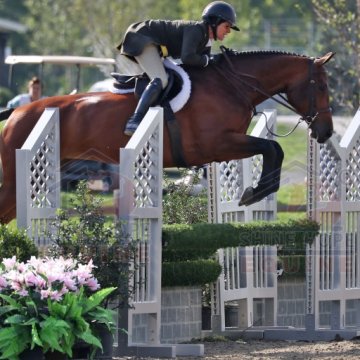 Get Into Professional Horseback Riding